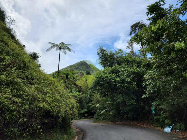 The El Yunque National Park – Useful Information